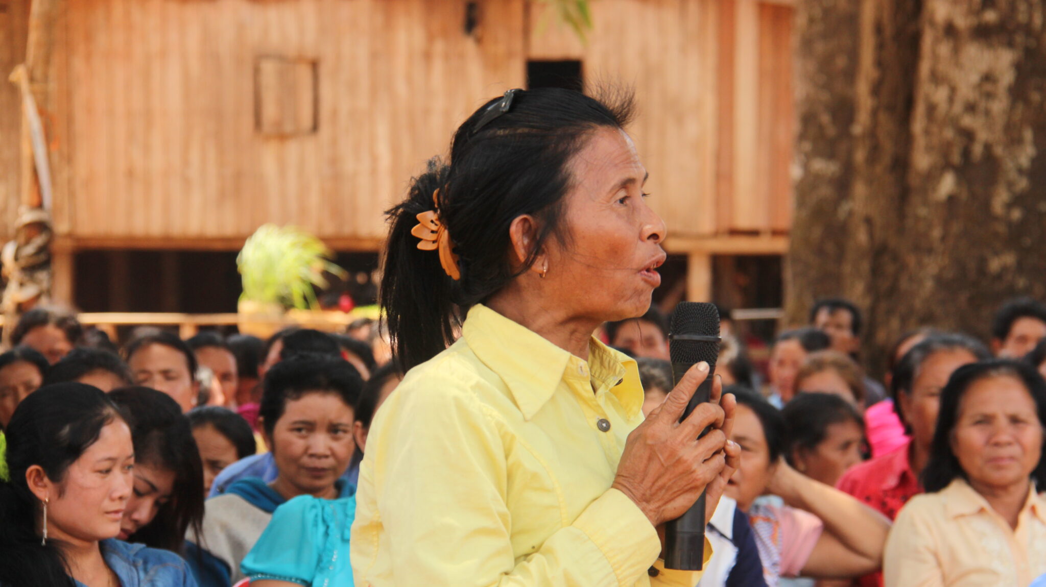 About Us | Diplomacy Training Program