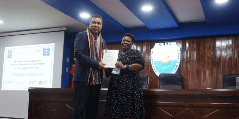 Diplomacy Training Program